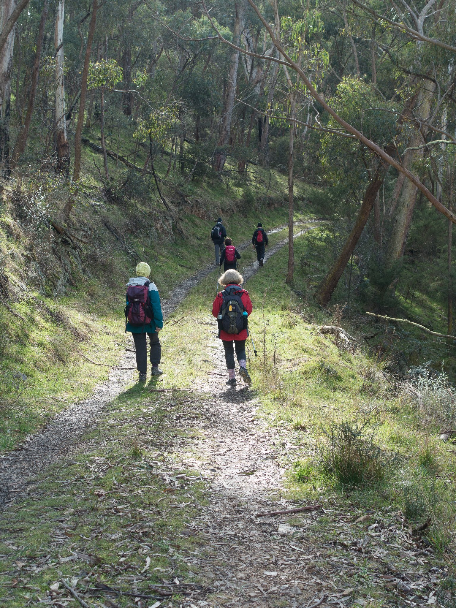 Recent walks - Ramblers Walking Club Inc