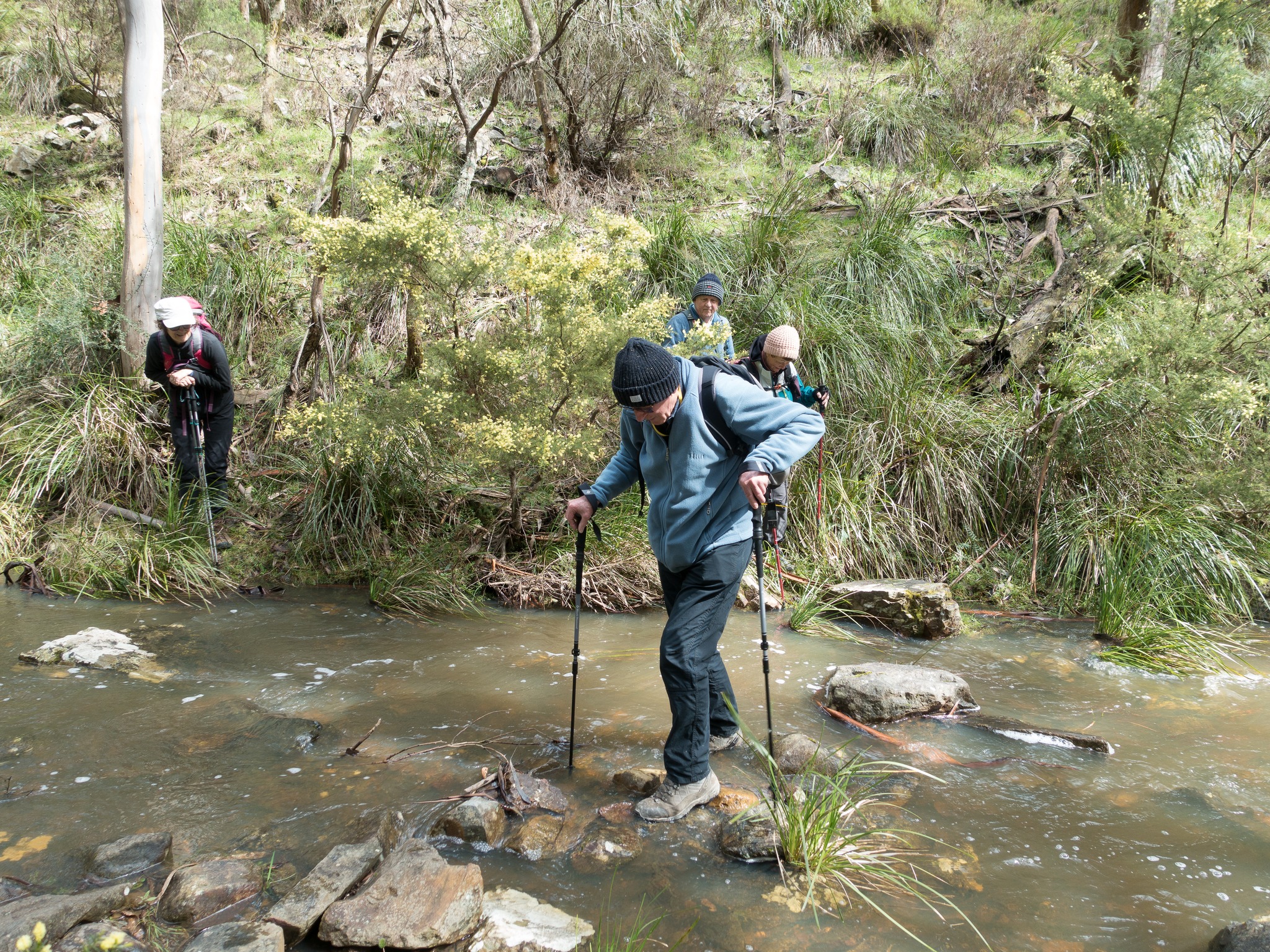 Walks program - Ramblers Walking Club Inc
