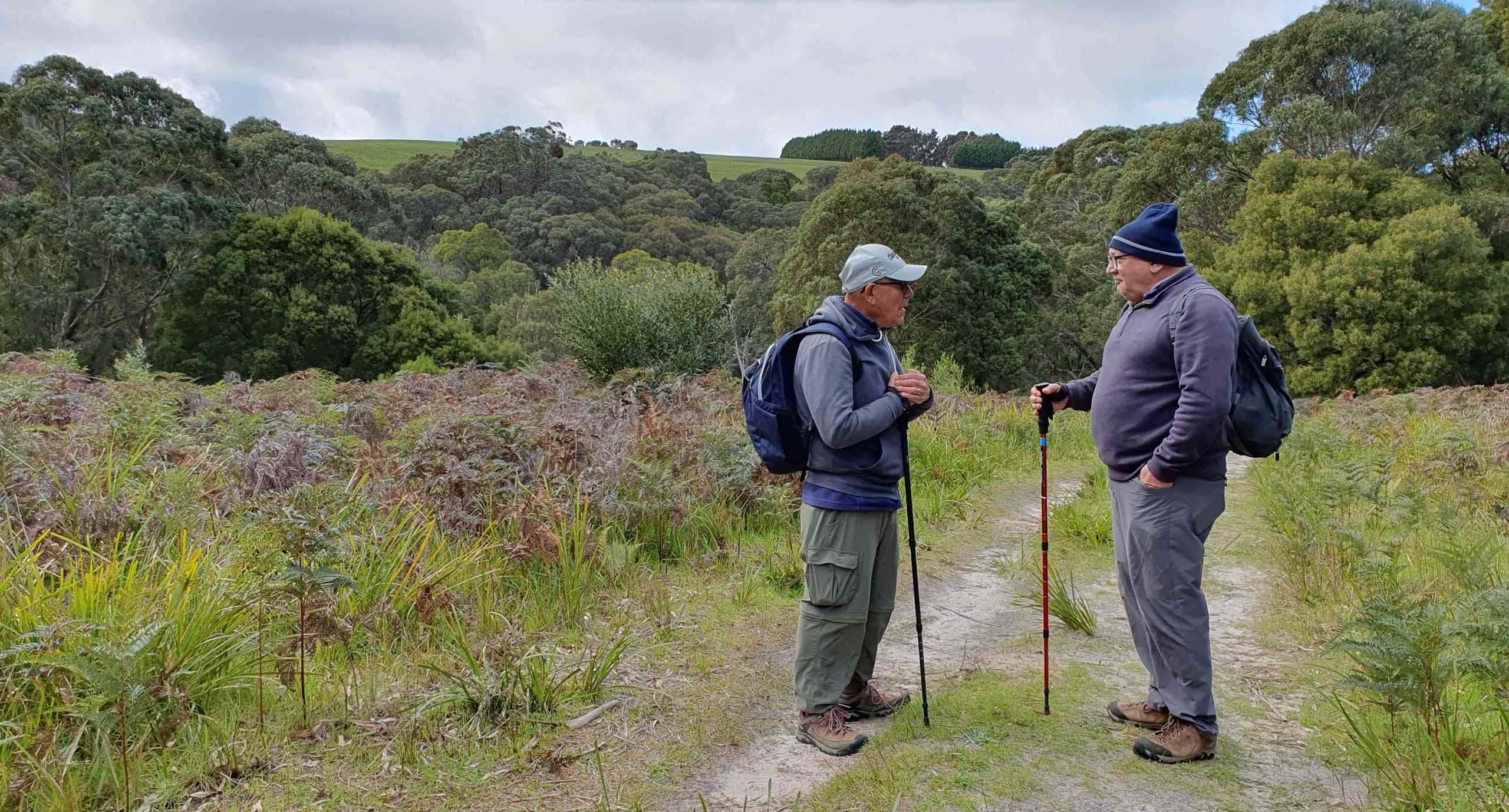 Some recent walks - Ramblers Walking Club Inc